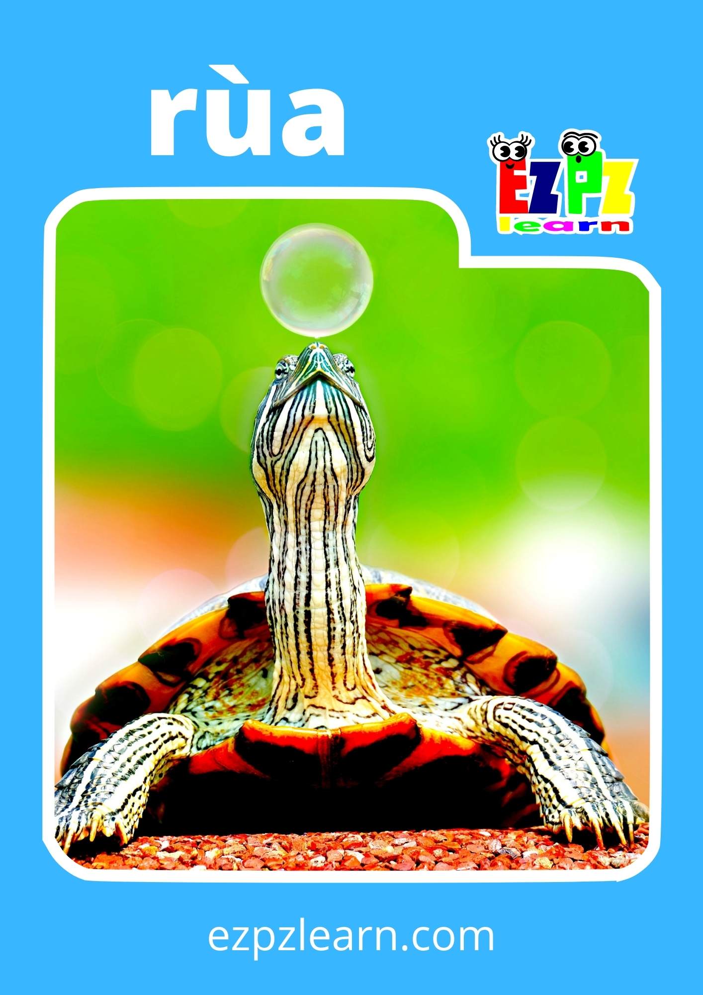 Pets Photo Flashcards - Ezpzlearn.com